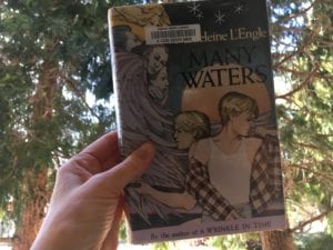 Book Shelf: Many Waters | Meet The Authors